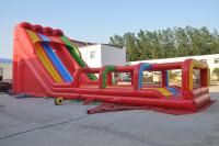 China Custom Design Tropical Theme Inflatable Water Slide With Pool for Kids and Adults for sale