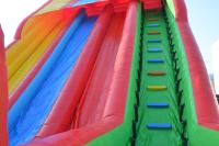 China Custom Design Tropical Theme Inflatable Water Slide With Pool for Kids and Adults for sale