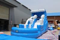 China Custom Design Tropical Theme Inflatable Water Slide With Pool for Kids and Adults for sale