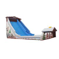 China Custom Design Tropical Theme Inflatable Water Slide With Pool for Kids and Adults for sale