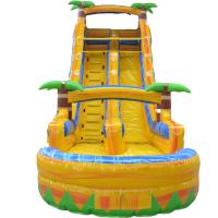 China Commercial Occasion Multi-Color Palm Tree Inflatable Water Slide with Small Pool for sale