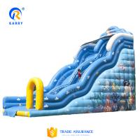 China Super Wide Inflatable Dry Slide for Kids EN71/EN14960/CE Certified Repair Kit Included for sale