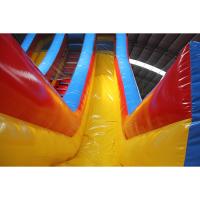China Max Capacity 100-500kg Commercial Inflatable Water Slide with Swimming Pool and Dual Lane for sale