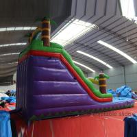 China Customized Backyard Inflatable Water Slide and Trampoline for Kids Swimming Adventure for sale