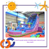 China Commercial Inflatable Pool Slides with Colorful Palm Purple Marble Jumping Slide for sale