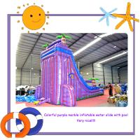 China Commercial Inflatable Pool Slides with Colorful Palm Purple Marble Jumping Slide for sale