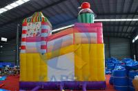 China Inflatable Castle Bounce House Water Slide Combo Customized for Children's Play for sale