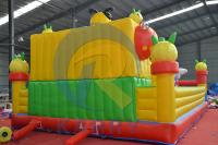 China EN71/CE Certified Large Jumping Castle Insect Paradise Bounce House for Play Park for sale