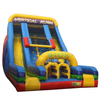 China Children's Rock Climbing Competitive Game Double Slide Inflatable Water Slide for Kids for sale