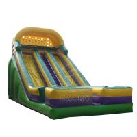 China Children's Rock Climbing Competitive Game Double Slide Inflatable Water Slide for Kids for sale