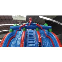 China 5-10 Passenger Capacity Double Lane Inflatable Dry Slide KRS 00-500kg for sale