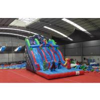 China 5-10 Passenger Capacity Double Lane Inflatable Dry Slide KRS 00-500kg for sale