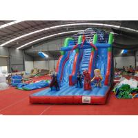 China 5-10 Passenger Capacity Double Lane Inflatable Dry Slide KRS 00-500kg for sale