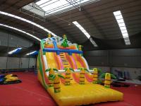China Commercial Amusement Park Water Slide Design Rain Forest Inflatable with Bounce House for sale