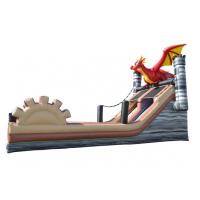 China Outdoor Inflatable Bounce Slide with Swimming Pool and Printing Bouncer for sale