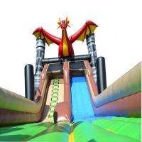 China Outdoor Inflatable Bounce Slide with Swimming Pool and Printing Bouncer for sale