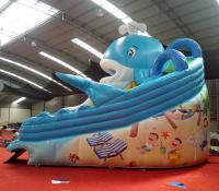 China Digital Printing Baby Kids Inflatable Dubai Water Slide with Max Capacity 100-500kg for sale
