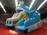 China Digital Printing Baby Kids Inflatable Dubai Water Slide with Max Capacity 100-500kg for sale
