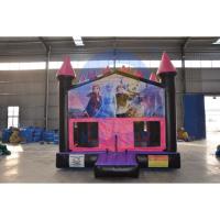 China Module With Slide Bounce House for Sea Air Express Shipping and 0.55mm PVC Tarpaulin for sale