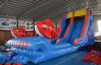 China Commercial Occasions Inflatable Jumper Water Slide with Pool 2 Carps Slide for sale