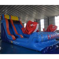 China Commercial Occasions Inflatable Jumper Water Slide with Pool 2 Carps Slide for sale