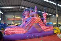 China Unisex Inflatable Princess Knight Bounce House with Slide and Repair Kit Included for sale