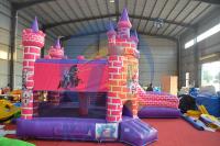 China Unisex Inflatable Princess Knight Bounce House with Slide and Repair Kit Included for sale