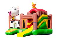 China OEM/ODM Accepted Trend Customizable Bouncy Castle Slide Combo for Party Rental Business for sale