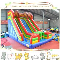 China Accord the actual weight Inflatable Water Slide with Pool Combo Obstacle Double-Lane for sale
