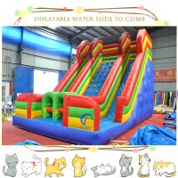 China Accord the actual weight Inflatable Water Slide with Pool Combo Obstacle Double-Lane for sale
