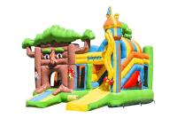 China Commercial Inflatable Bouncy Castle Slide for Rental Business With Blower Included for sale