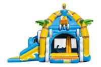 China Unisex Summer Water Park Inflatable Bounce House with Slide and Jumping Castle Game for sale