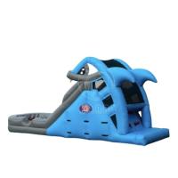 China Customized Printing Inflatable Water Slide Max Capacity 100-500kg for Kids Playground for sale