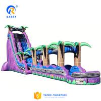 China Customized Printing Inflatable Water Slide Max Capacity 100-500kg for Kids Playground for sale