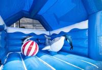China Customized Logo/Website/Phone/Company Name Printed Inflatable Bounce House with Slide for sale