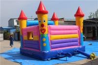 China CE Blower and Repair Accessories Included Commercial Inflatable Castle with Slide for sale