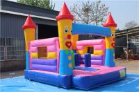China CE Blower and Repair Accessories Included Commercial Inflatable Castle with Slide for sale