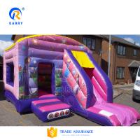 China Customized Unisex Bouncy Castle Slide Combo Amusement Park Equipment with Repair Kits for sale