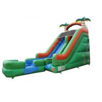 China PVC Palm Tree Backyard Long Slide Inflatable Water Slide for 5-10 Passengers Party Fun for sale