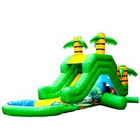 China PVC Palm Tree Backyard Long Slide Inflatable Water Slide for 5-10 Passengers Party Fun for sale