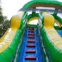 China PVC Palm Tree Backyard Long Slide Inflatable Water Slide for 5-10 Passengers Party Fun for sale