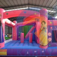 China Princess Pink Inflatable Bounce Houses Slide Combo for Party Rental Express Shipping for sale