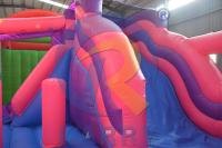 China Princess Pink Inflatable Bounce Houses Slide Combo for Party Rental Express Shipping for sale