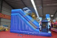 China Custom Logo Accepted Inflatable Bounce House with Two Slides According to Your Needs for sale