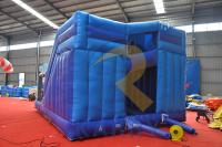 China Custom Logo Accepted Inflatable Bounce House with Two Slides According to Your Needs for sale