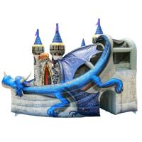 China 5x4m 18*16ft Blue Dinosaur Bouncy Castle Slide Combo with Professional OEM Service for sale