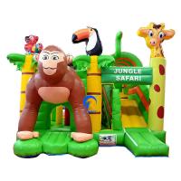 China Customized Color Inflatable Castle Jumping Commercial Combo Slide and Bouncing Castle for sale