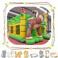 China Customized Color Inflatable Castle Jumping Commercial Combo Slide and Bouncing Castle for sale