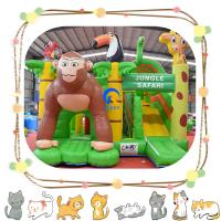 China Customized Color Inflatable Castle Jumping Commercial Combo Slide and Bouncing Castle for sale