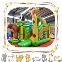China Customized Color Inflatable Castle Jumping Commercial Combo Slide and Bouncing Castle for sale